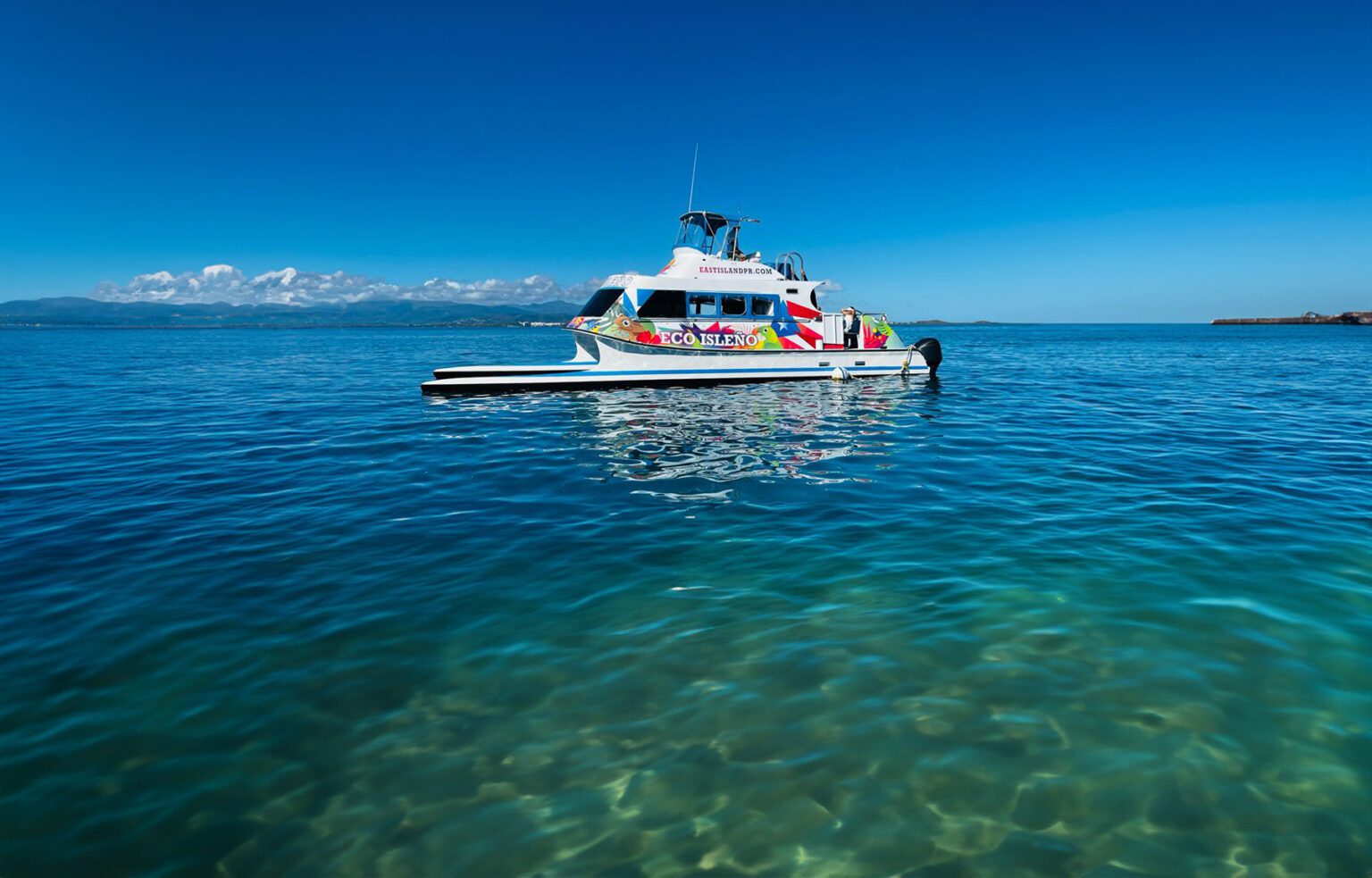 East Island Excursions - We create magic moments